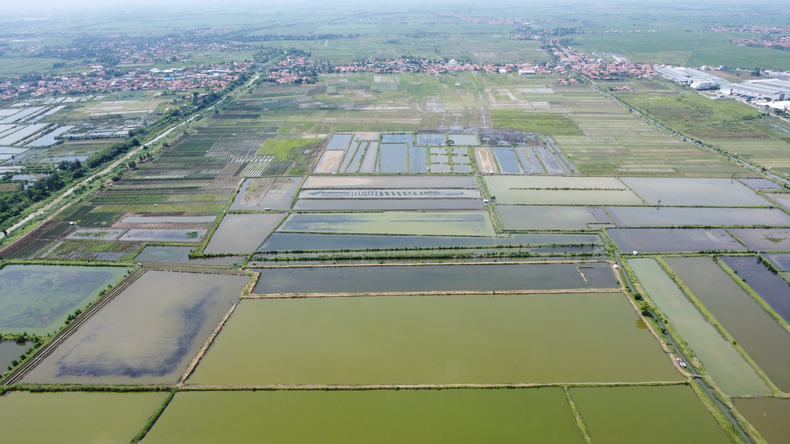 - Brebes Industrial Zone